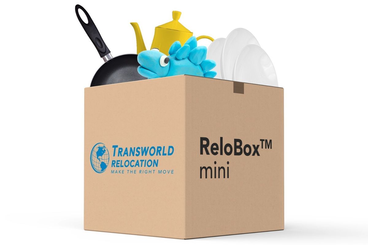 TRANSWORLD RELOCATION | 1 次 - Transworld 移民包裹服務 - ReloBox Mini | HKTVmall 香港最大網購平台