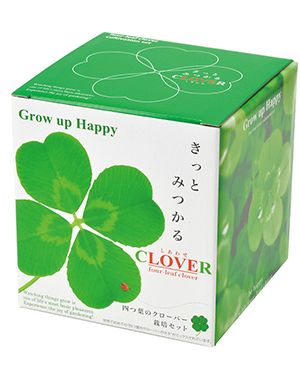 SEISHIN | Four-Leaf Clover盆栽 - 四葉草 | HKTVmall 香港最大網購平台