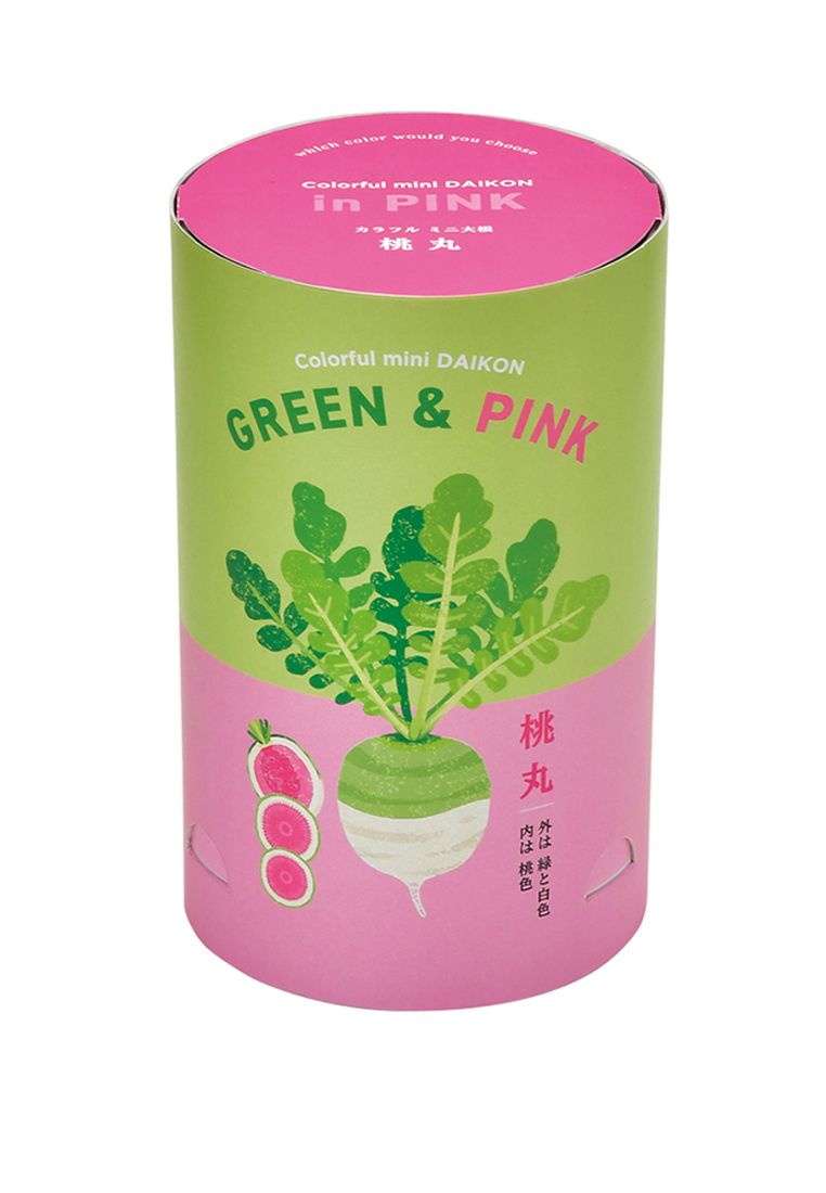 SEISHIN | 自家培植盆栽 -紅心蘿蔔 | HKTVmall 香港最大網購平台