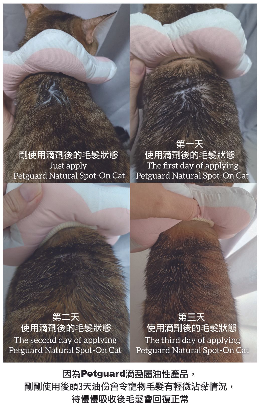 PETGUARD | 天然驅蟲除蝨滴劑｜單支裝｜狗用｜適合小型犬1-10kg (預防驅趕床蝨牛蜱跳蝨蝨子蚊子) #環境草本驅蟲 #非藥性殺蝨滴 #天然精油 *8週以上幼犬至成犬適用 ...