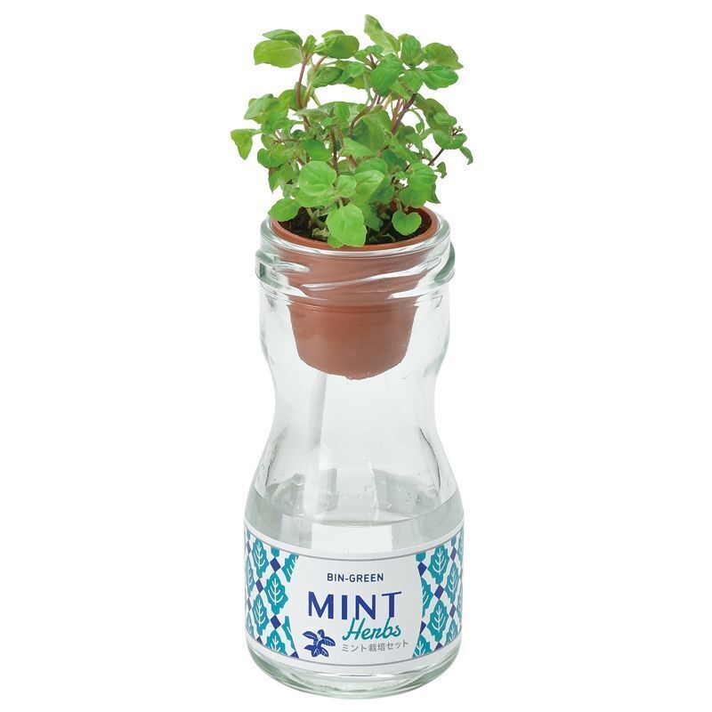SEISHIN | 玻璃瓶子吸水種植系列 - 薄荷葉 | HKTVmall 香港最大網購平台