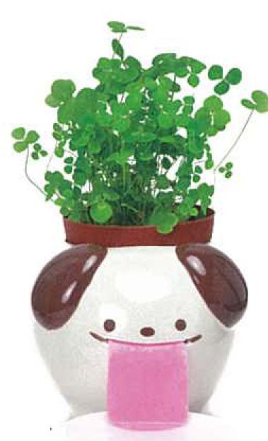 SEISHIN | 自動吸水Peroppon PAPA自動吸水小盆栽 - 小狗 | HKTVmall 香港最大網購平台