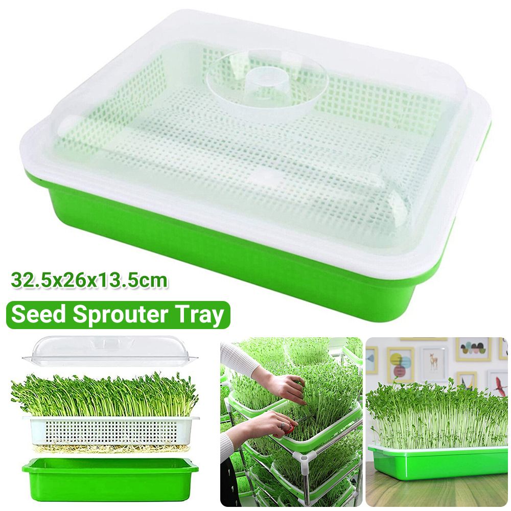 ALPHASTAR SUPERMALL | Soilless cultivation planting tray double-layer ...