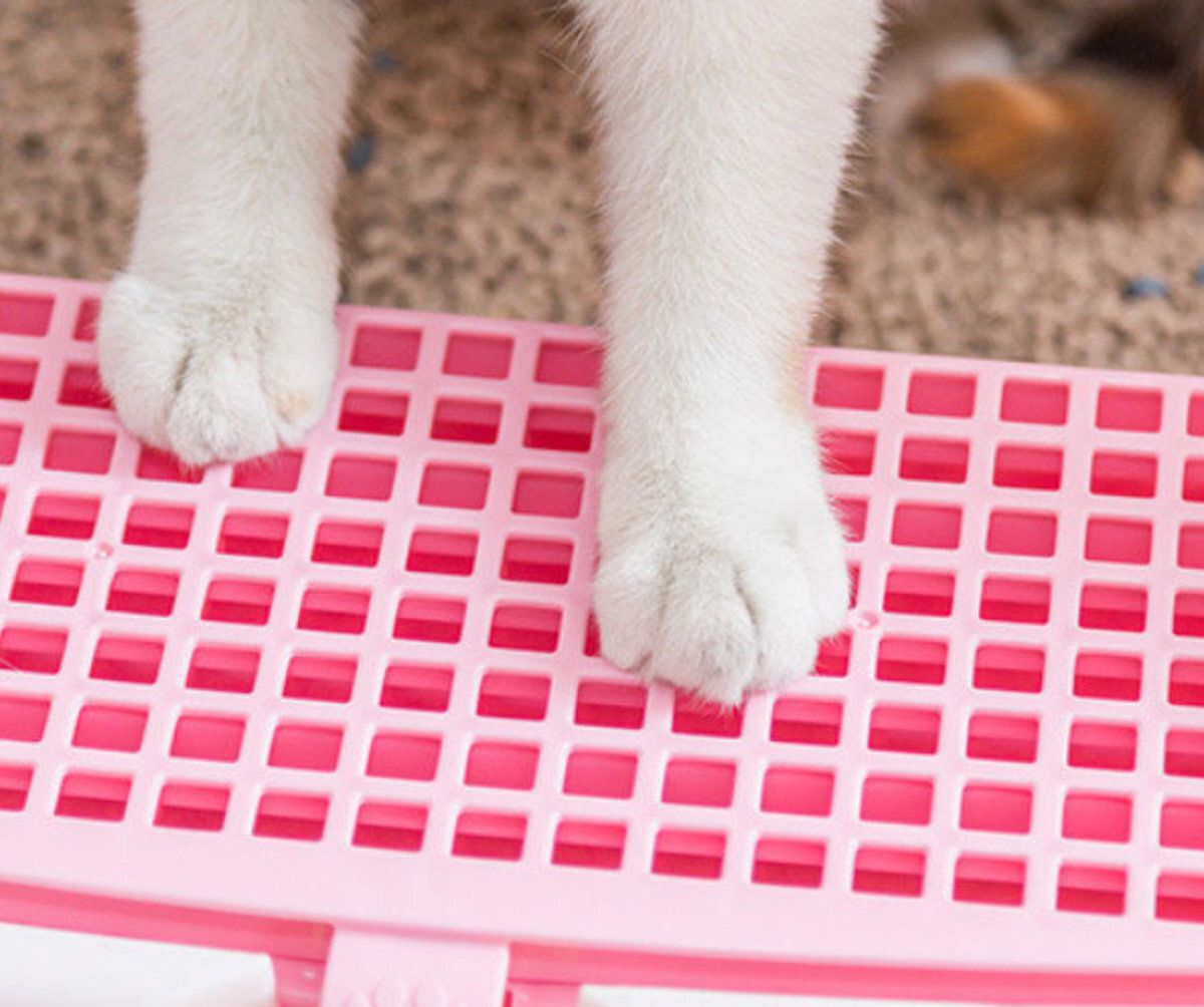 Man Kee | IRIS 封閉式貓砂盤單層貓廁所 SSN-530（粉紅色）#(MAN) | HKTVmall The Largest HK ...