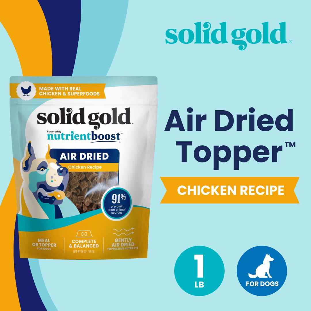 Solid Gold | 營養吸收、腸道健康 狗狗肉乾粒 雞肉配方 1磅 | HKTVmall 香港最大網購平台