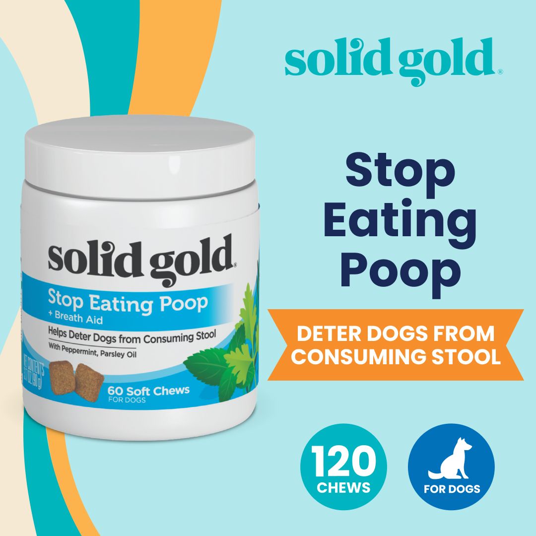 Solid Gold | 停止食便便 狗狗咀嚼片 60粒 (EXP:09 2025) | HKTVmall 香港最大網購平台