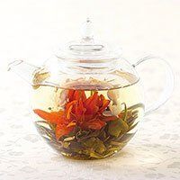 LUPICIA | Craft-U QPW-5 Tea Pot 500ml | HKTVmall 香港最大網購平台