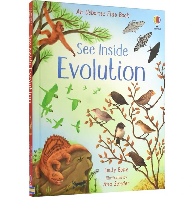 USBORNE | See inside Evolution 進化｜平行進口產品 | HKTVmall 香港最大網購平台