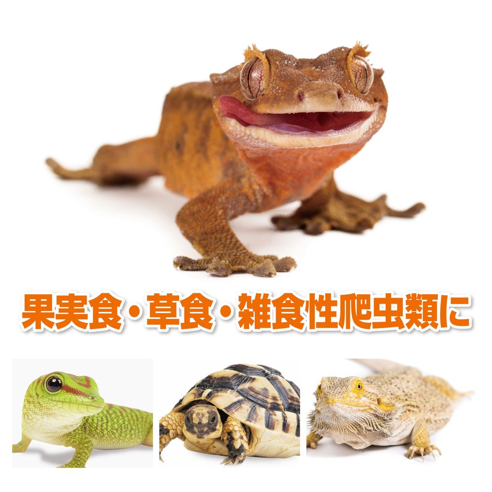 EXO TERRA | Exo Terra RepDeli Double Fruits Paste 雙果香蕉芒果 2.5gx10 ...