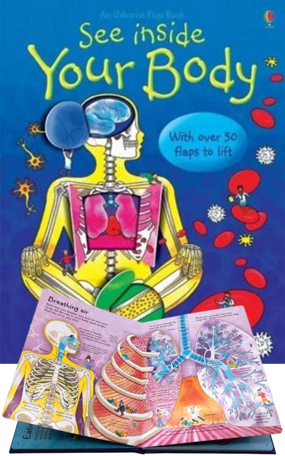 USBORNE | Flap Book See Inside 深入體內｜平行進口產品 | HKTVmall 香港最大網購平台