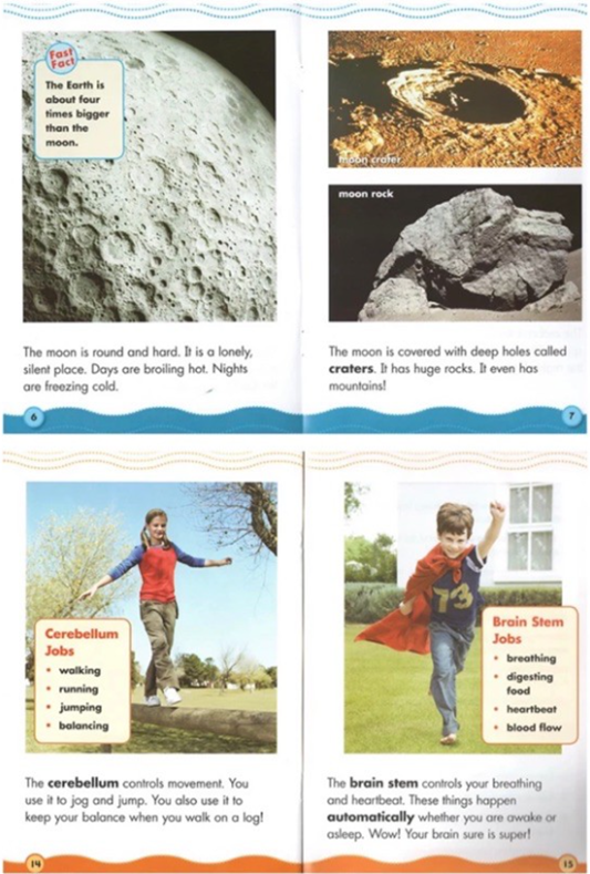 SCHOLASTIC | Science Vocabulary Readers Complete Set 30 books | 平行進口 ...