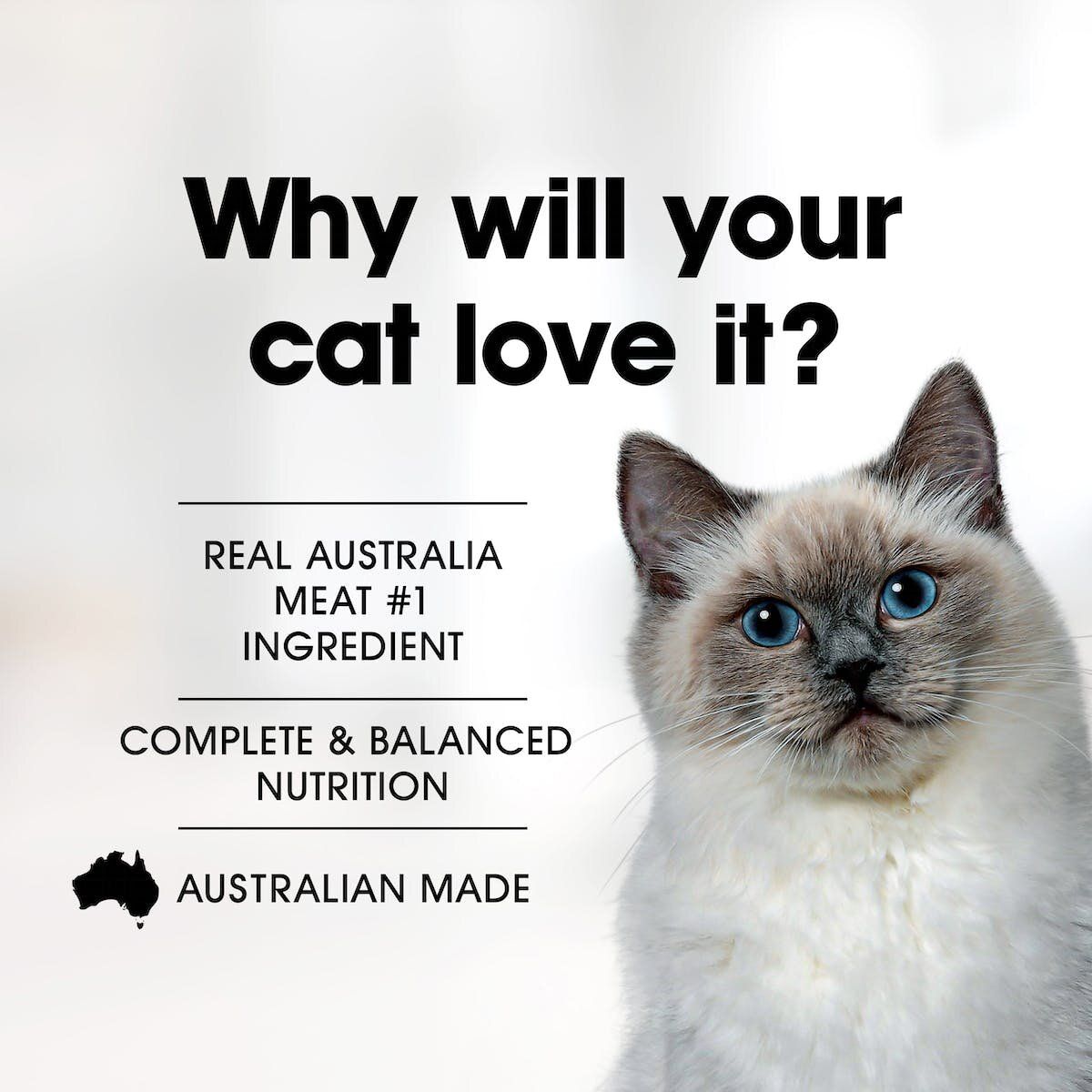 Fussy Cat | Twice as Tasty Mince & Morsels 80g x 12 | HKTVmall The ...
