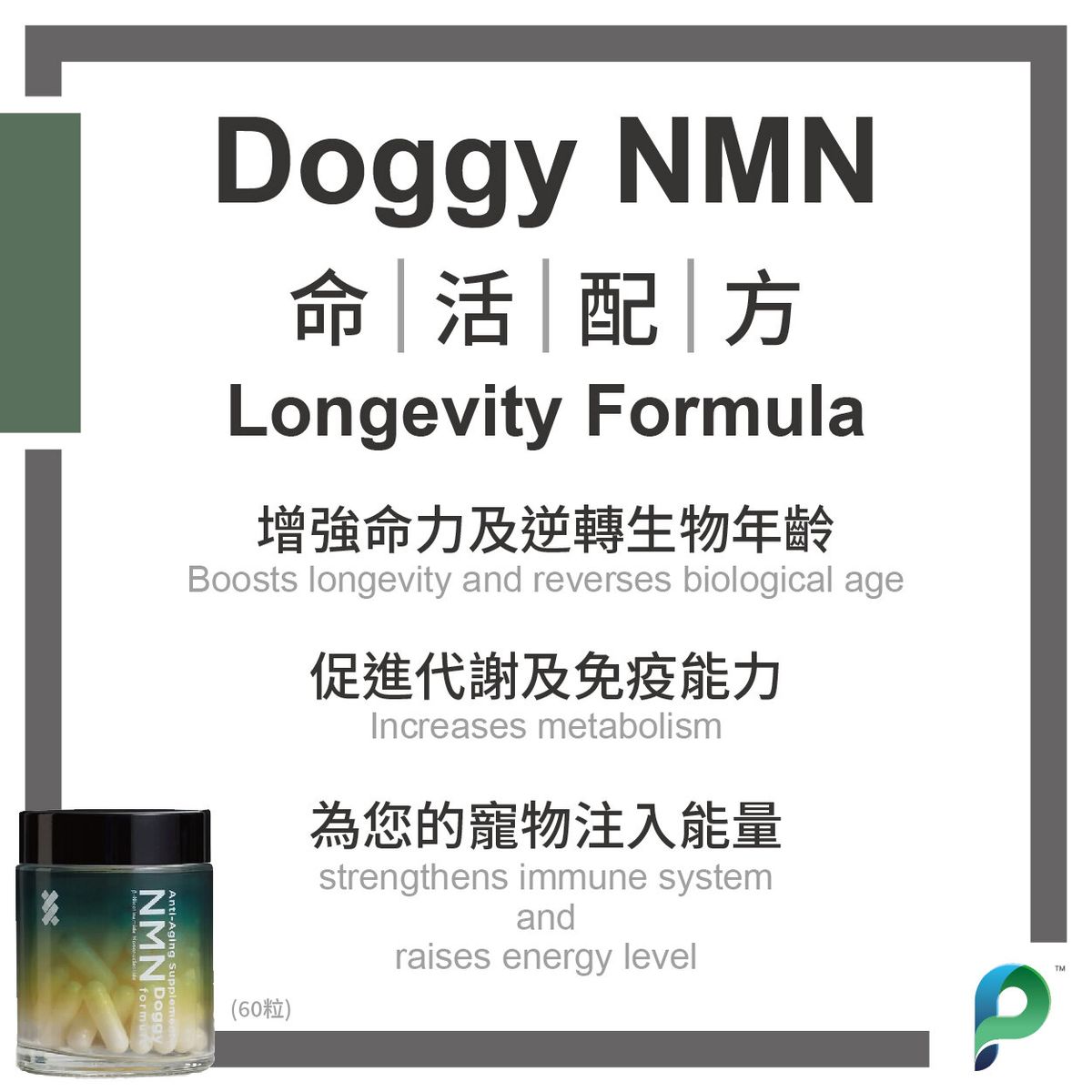 Timeplus+ | Timeplus Doggy NMN Longevity with Hip & Joint Support ...