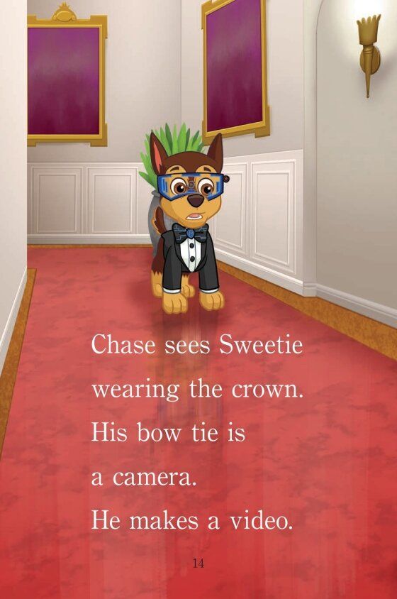 Random House | Step into Reading: Paw Patrol 2 Books Pack (12 Stories ...