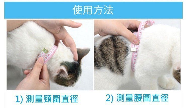 DDS | 貓繩-工字形貓用索引繩 (黑色)#DDS | HKTVmall 香港最大網購平台