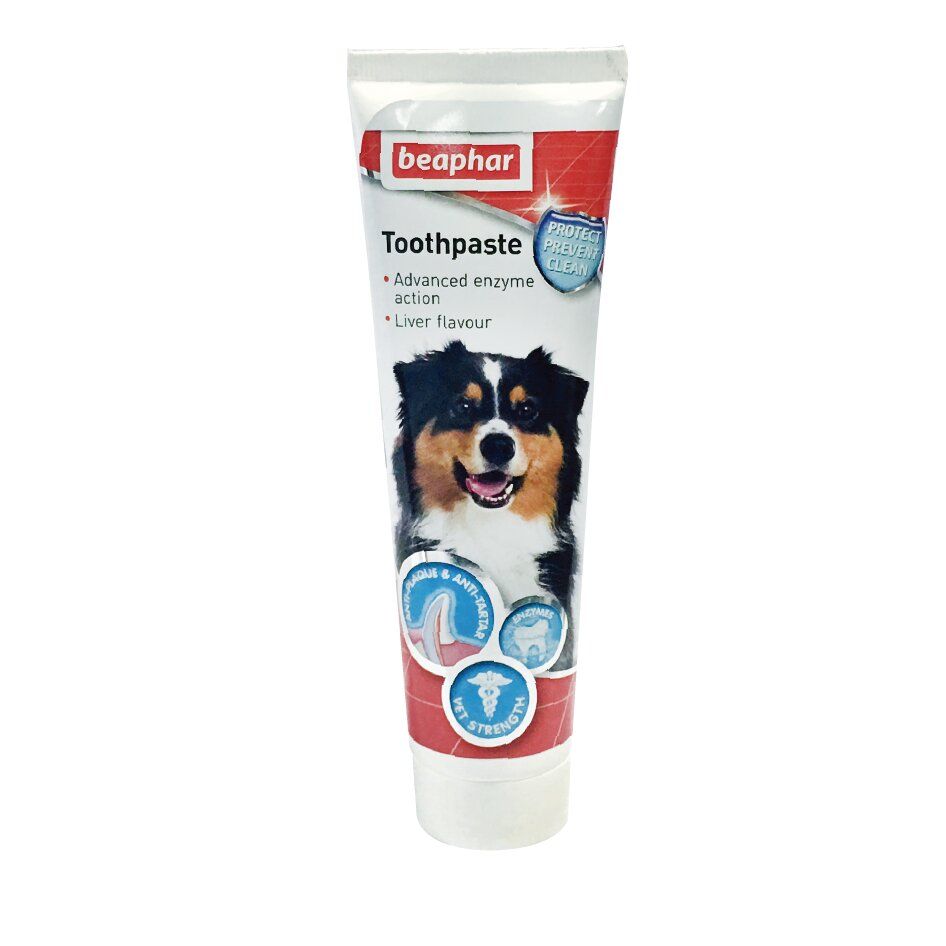 beaphar | TOOTHPASTE FOR DOGS (NEW FORMULA) 100G | HKTVmall The Largest ...