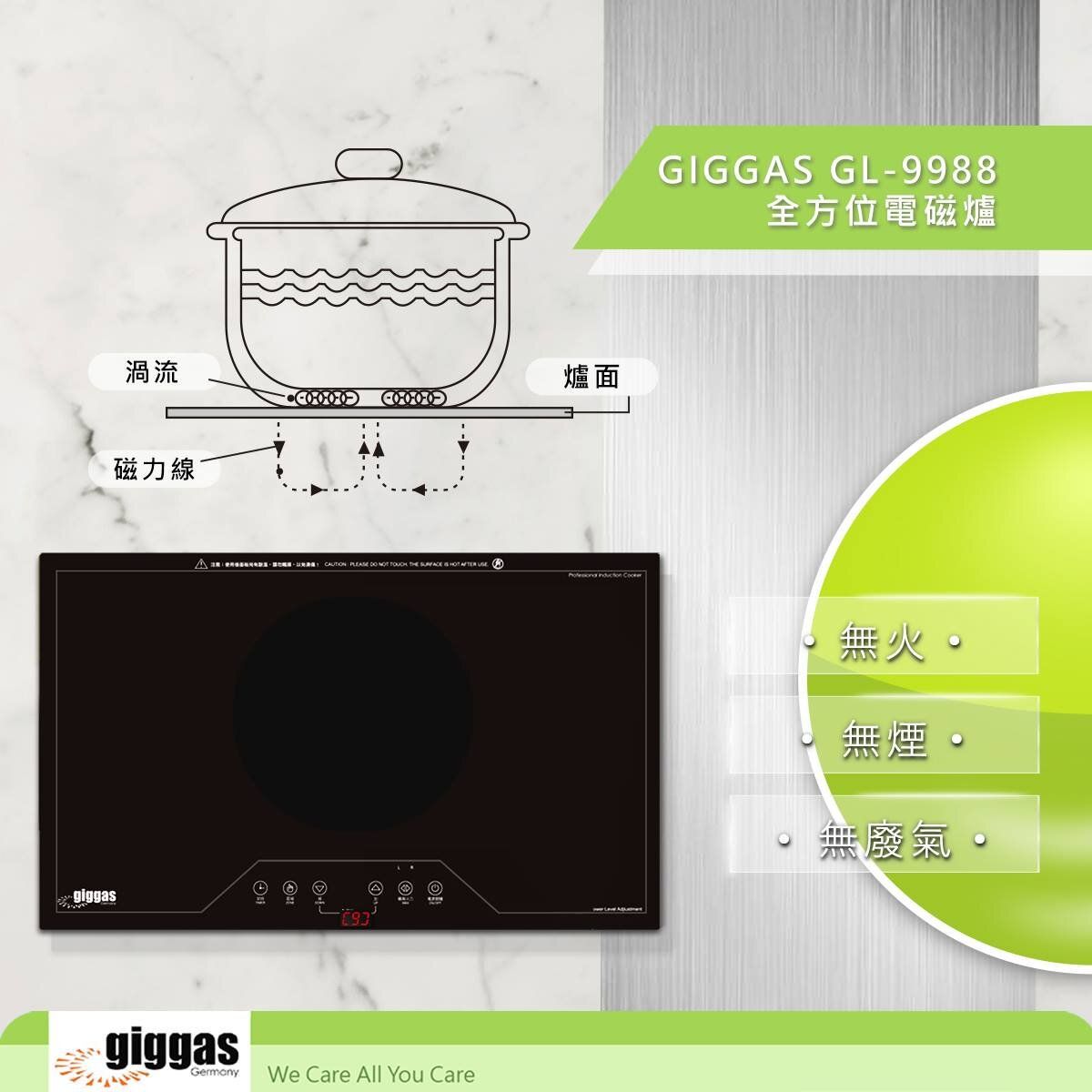 GIGGAS | GL-9888 built-in type Induction Hob + electric stove (1-year ...