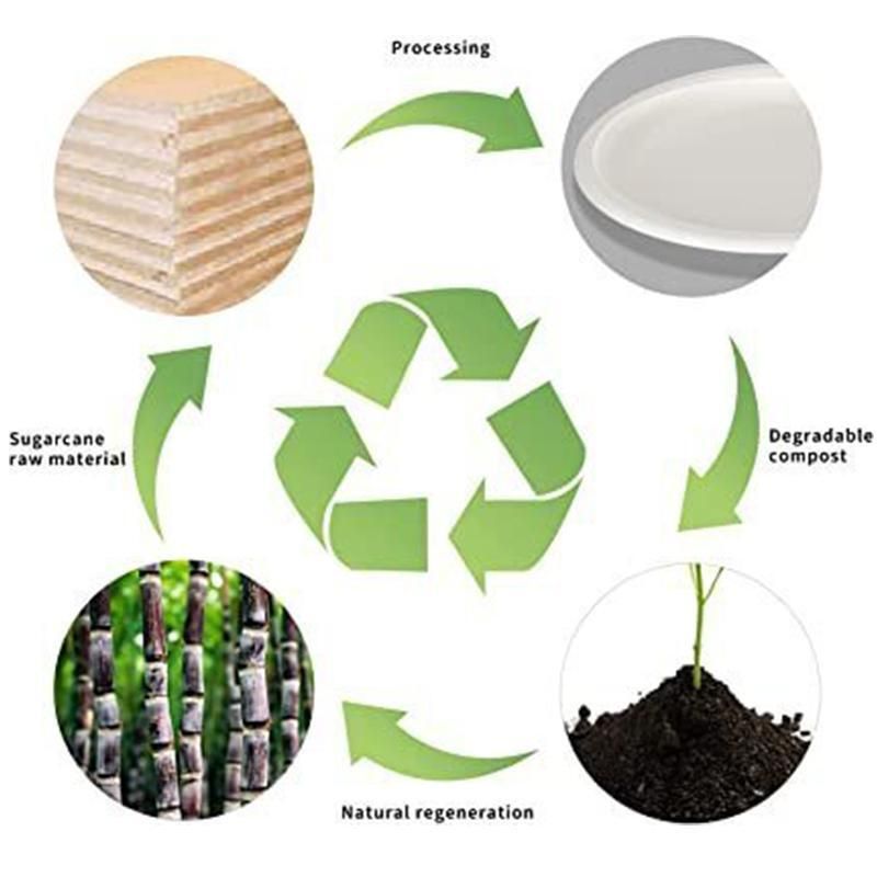 MasterTool | 【可降解及可微波爐用 | 25件】Savingoasis 環保竹漿紙便當盒(700ml) 紙漿餐盒連蓋 午餐盒 輕食飯盒 沙拉盒 外送外賣餐盒 帶蓋餐盒 微波飯盒 ...