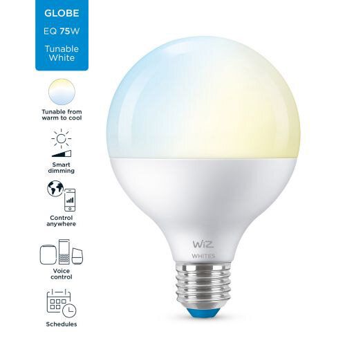 WiZ | WiZ - Globe G95 E27 11W TW 智能燈泡 Smart Light Bulbs (Tunable White ...