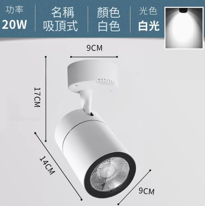 DDS | COB吸頂式軌道燈（20W/白殼/正白光）#N280_001_040 | HKTVmall 香港最大網購平台