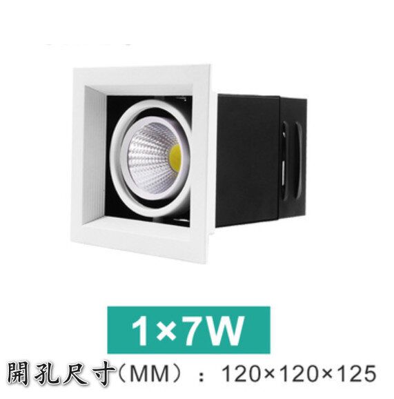 DDS | LED天花筒燈【7W】【白光】 #N161_012_039 | HKTVmall 香港最大網購平台