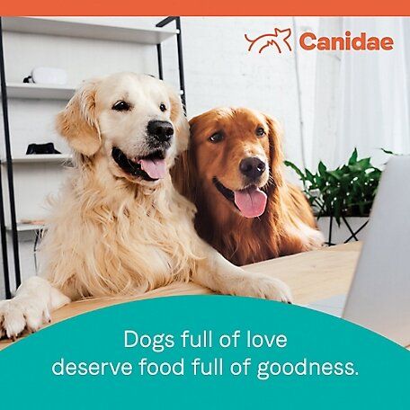CANIDAE | All Life Stages Multi-Protein Chicken, Turkey, Lamb and Ocean ...