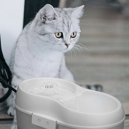 H2O | CAT H2O-活性碳除口氣飲水機（USB 插頭 白）（559372） | HKTVmall 香港最大網購平台