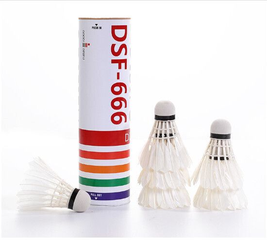 DDS | 耐打穩定訓練球羽毛球（6個裝）#DDS | HKTVmall 香港最大網購平台