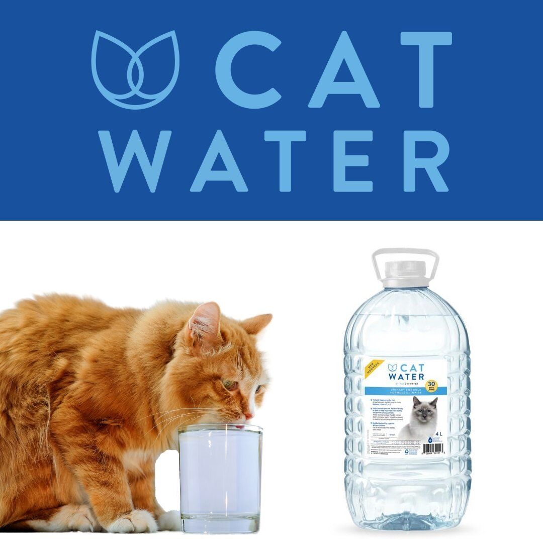 VETWATER | Cat Water 天然防尿石強效守護配方貓貓飲用水 4L | HKTVmall 香港最大網購平台