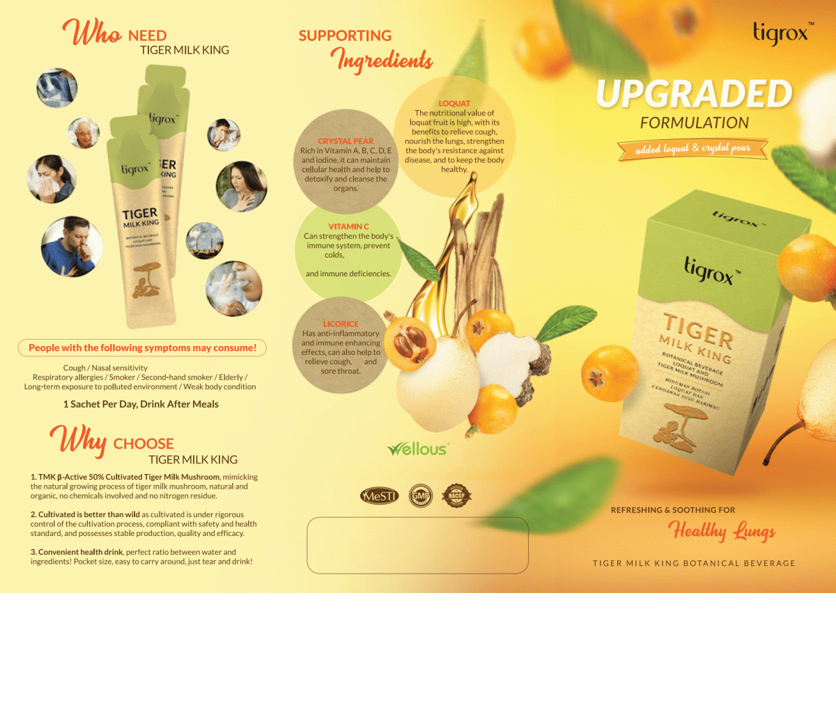 LOQUAT | Tigrox 枇杷虎乳靈芝(枇杷虎乳芝) 1盒 20包 | HKTVmall 香港最大網購平台