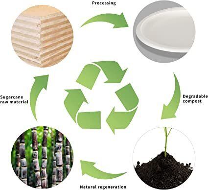 MasterTool | SavingOasis 75入環保即棄餐具套裝 (9紙碟x25,木匙x25,木叉x25) | HKTVmall 香港最大網購平台