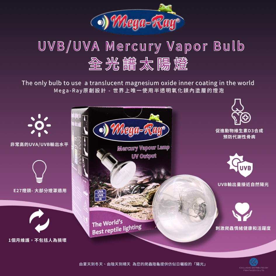 Mega-Ray | UVB/UVA 全光譜爬蟲燈泡 100W | HKTVmall 香港最大網購平台