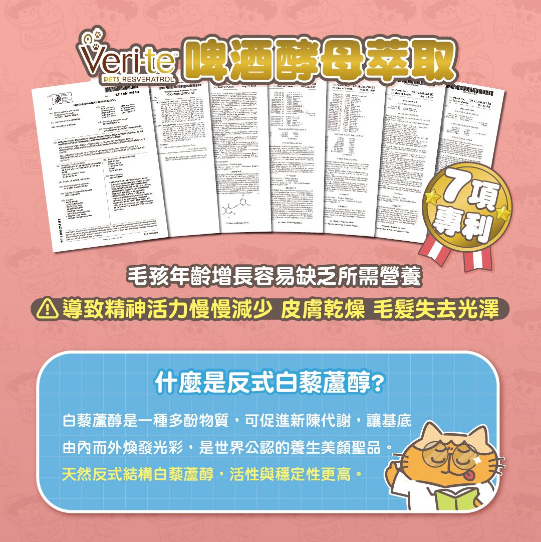 肉球世界 | 啾啾妹主食罐 混合試食裝 4種口味 80g | HKTVmall 香港最大網購平台