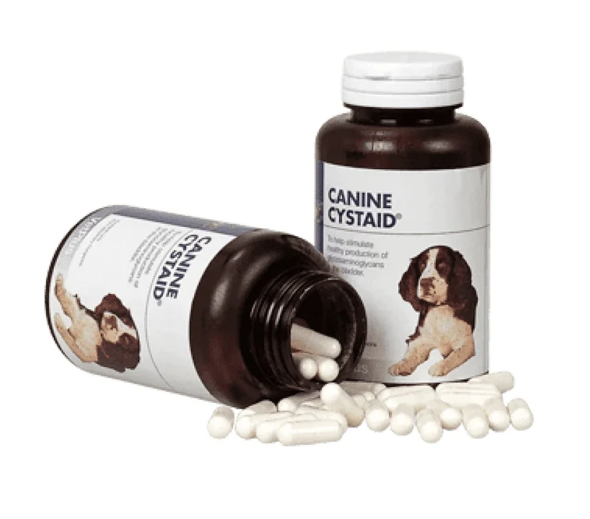 VetPlus | CANINE Cystaid 利尿通 狗用膀胱修復膠囊 120粒裝 [英國直送 | 平行進口 | 最佳食用日期至11/ ...