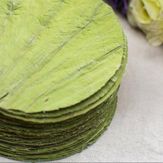 DDS | 20張幹荷葉片（圓形）（規格：直徑14CM-直徑28CM） | HKTVmall 香港最大網購平台