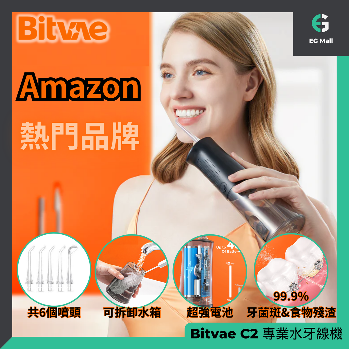 Bitvae | Bitvae C2 professional water flosser, dental rinser, wireless ...