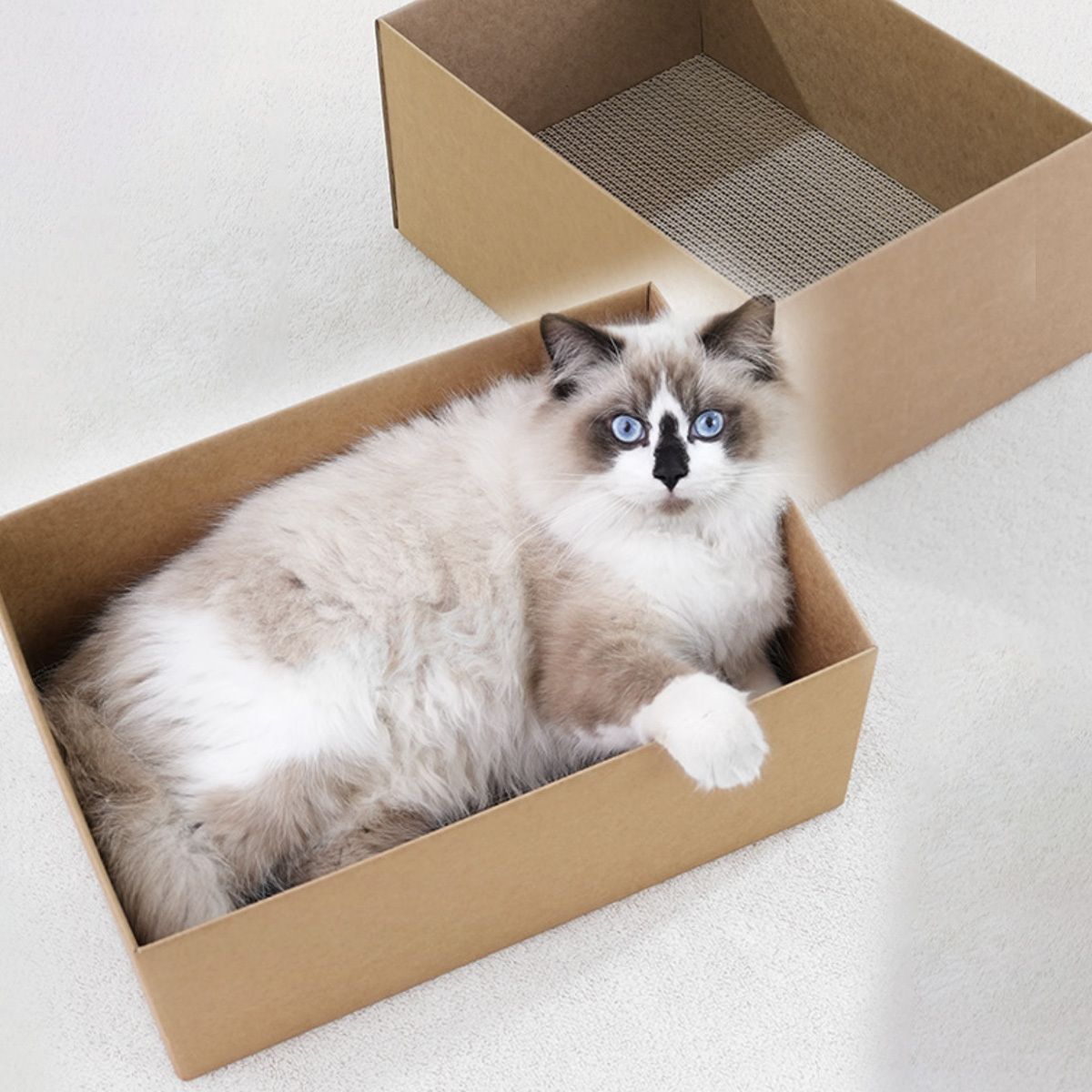 HAKURYU | [Cat Scratcher Integrated] Wear-resistant Cat Nest Corrugated ...