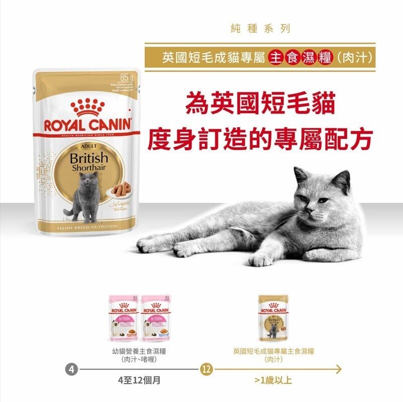 ROYAL CANIN | Wet Cat Food British Shorthair Adult (Gravy) 85g (一套12件 ...