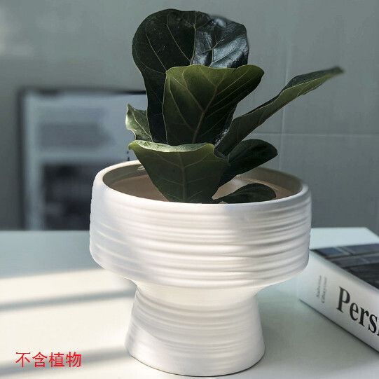 DDS | 陶瓷高腳花盆【白色 15*12.5】#DDS | HKTVmall 香港最大網購平台